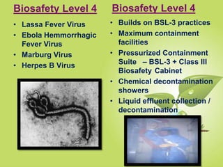 Biosafty final ppt | PPTX