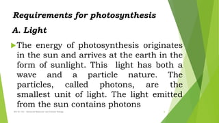 Photosynthesis | PPTX