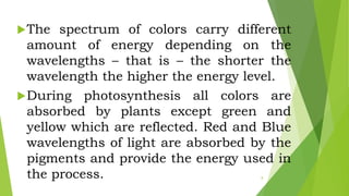 Photosynthesis | PPTX