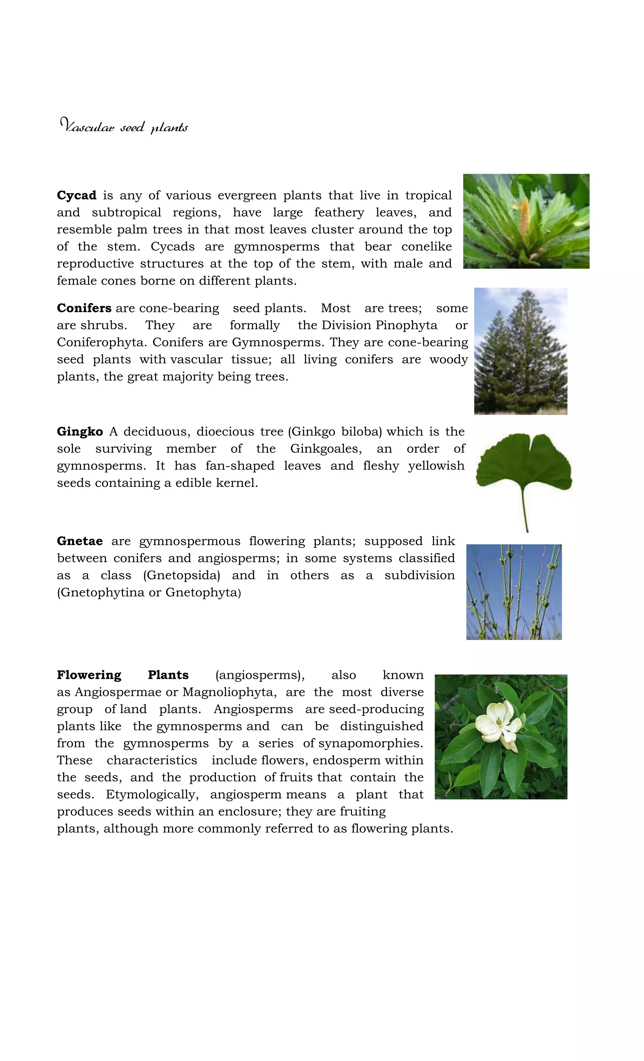 Classification of Plants and Animals | DOCX