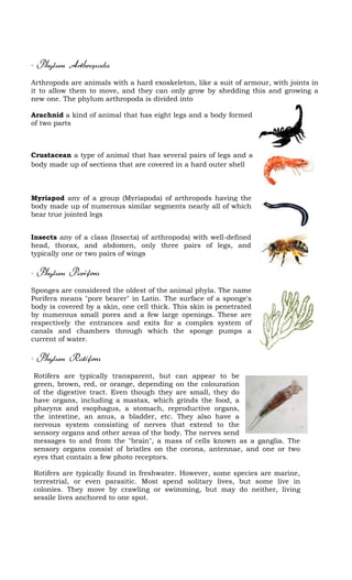 Classification of Plants and Animals | DOCX