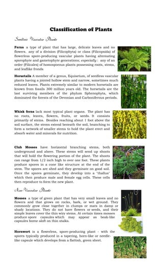 Classification of Plants and Animals | DOCX