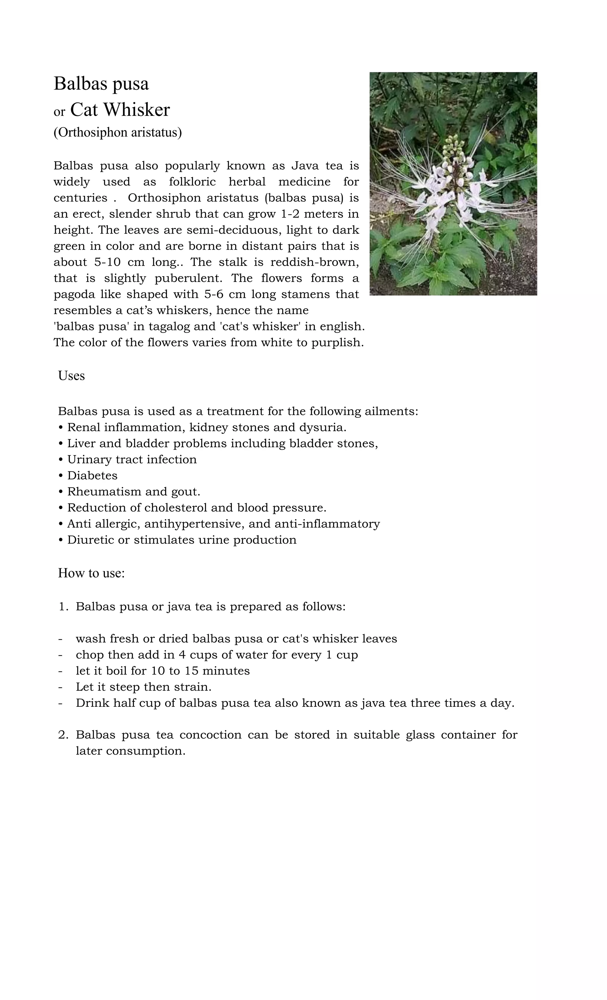 Medicinal Plants | DOCX