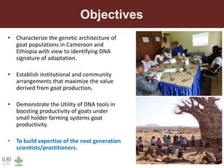 Unzipping the Goat Helix: Harnessing genetic diversity to improve goat ...