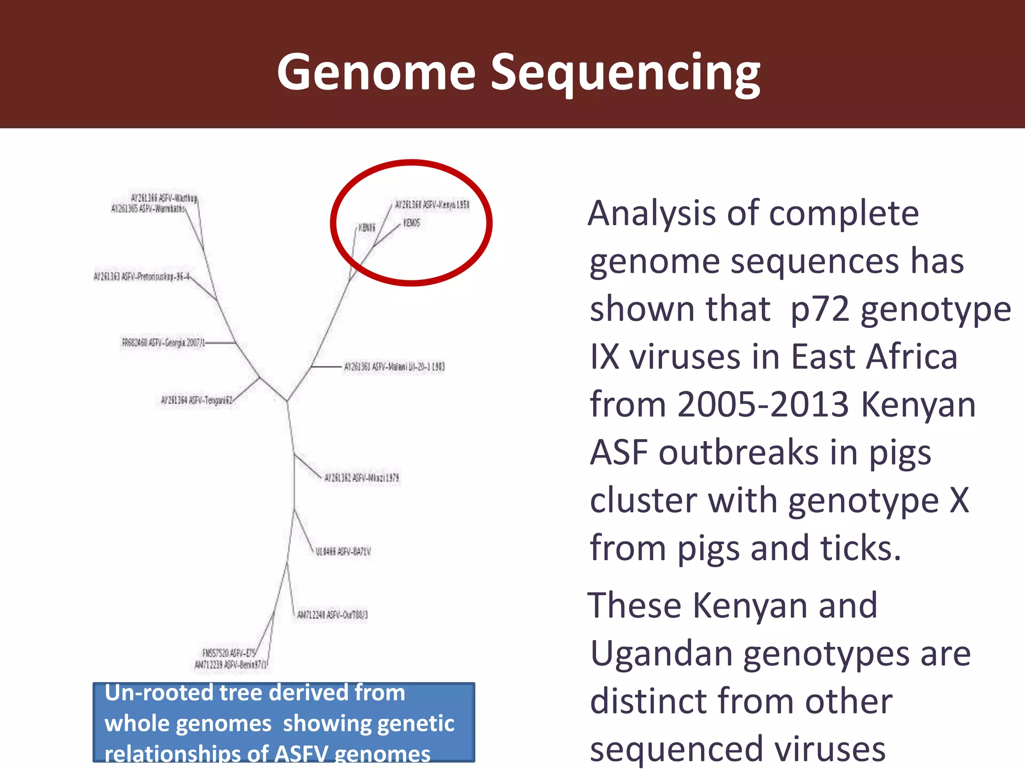 African Swine Fever (ASF) control: An entry point for enhancing human ...