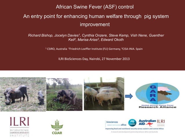 African Swine Fever (ASF) control: An entry point for enhancing human ...