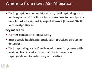African Swine Fever (ASF) control: An entry point for enhancing human ...