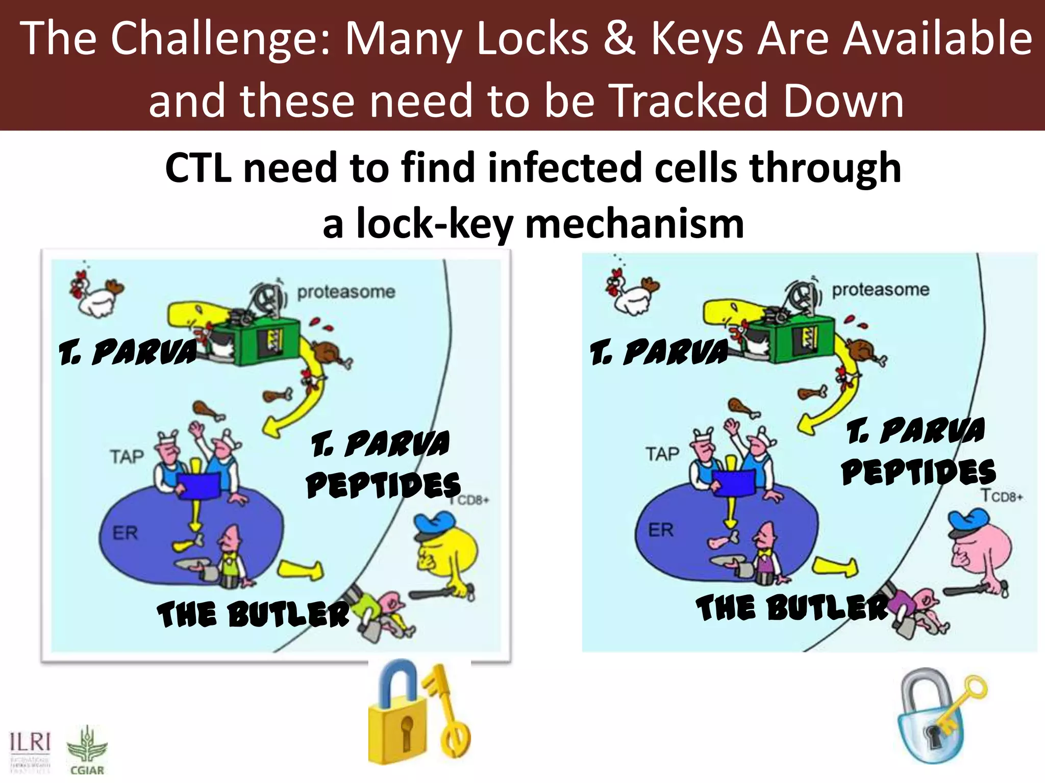 The quest for the needle (antigen) in the haystack (pathogen ...