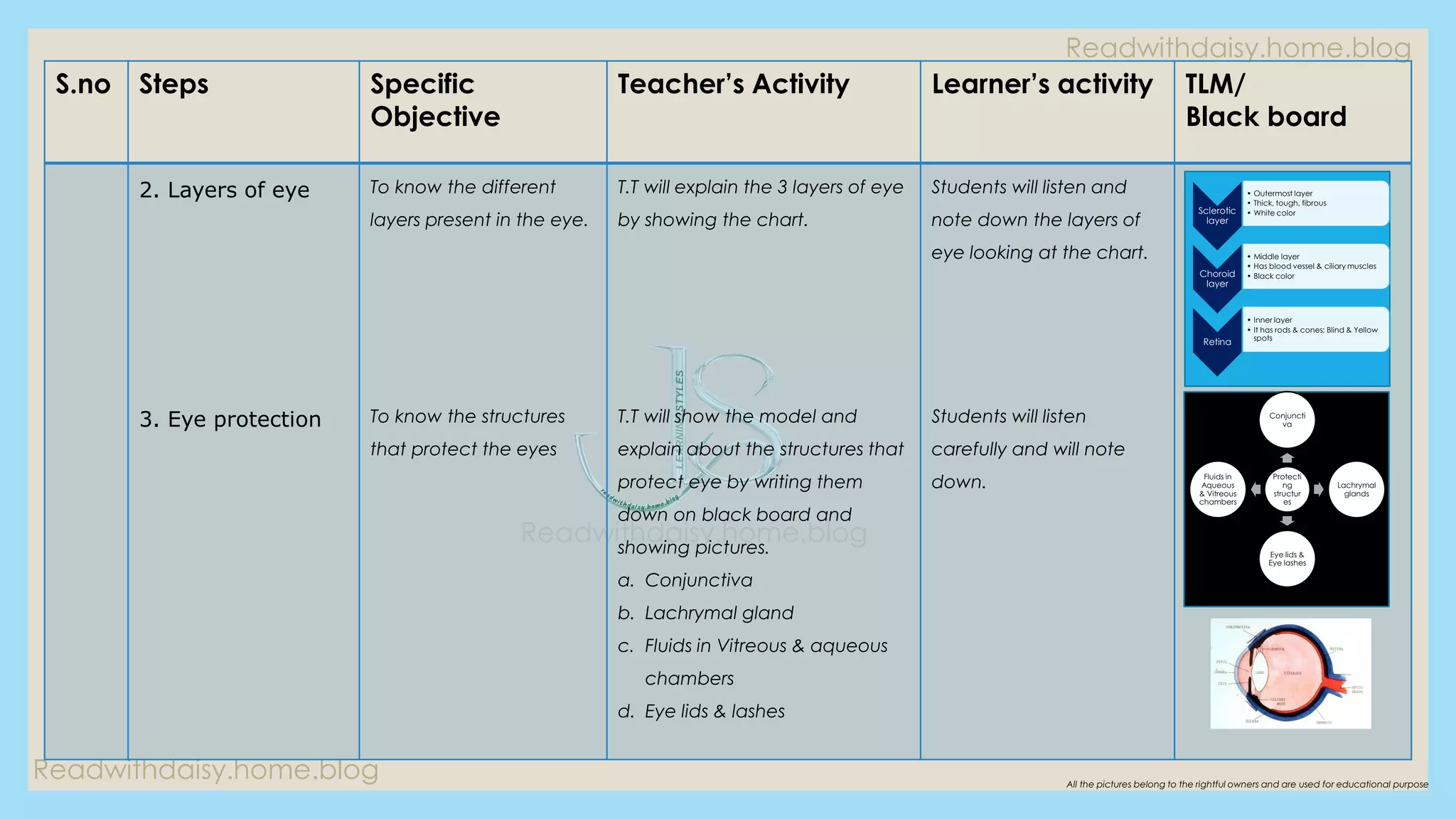 Bioscience Macro Teaching | PDF