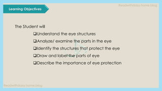 Bioscience Macro Teaching | PDF