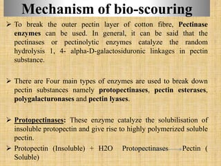 Bioscouring.ppt