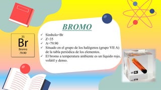 Bioelementos secundarios. Thalía Villarreal | PPTX