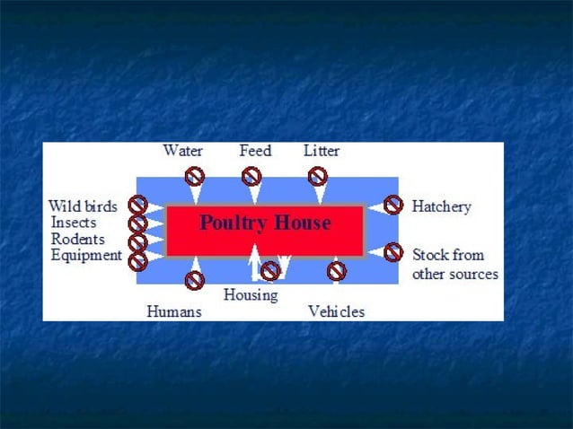 Biosecurity | PPT