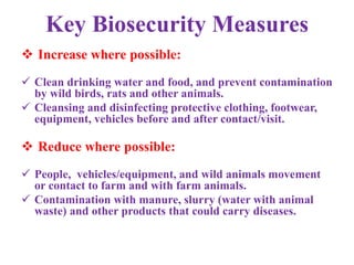 Biosecurity | PPTX