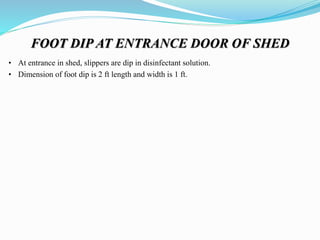 "Biosecurity" | PPTX