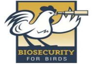 "Biosecurity" | PPTX