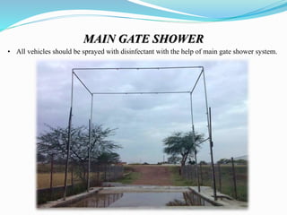 "Biosecurity" | PPTX