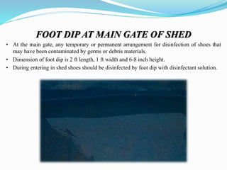 "Biosecurity" | PPTX