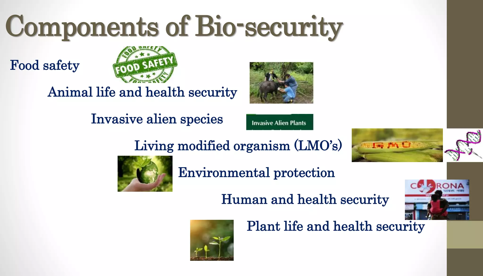 Biosecurity | PPTX