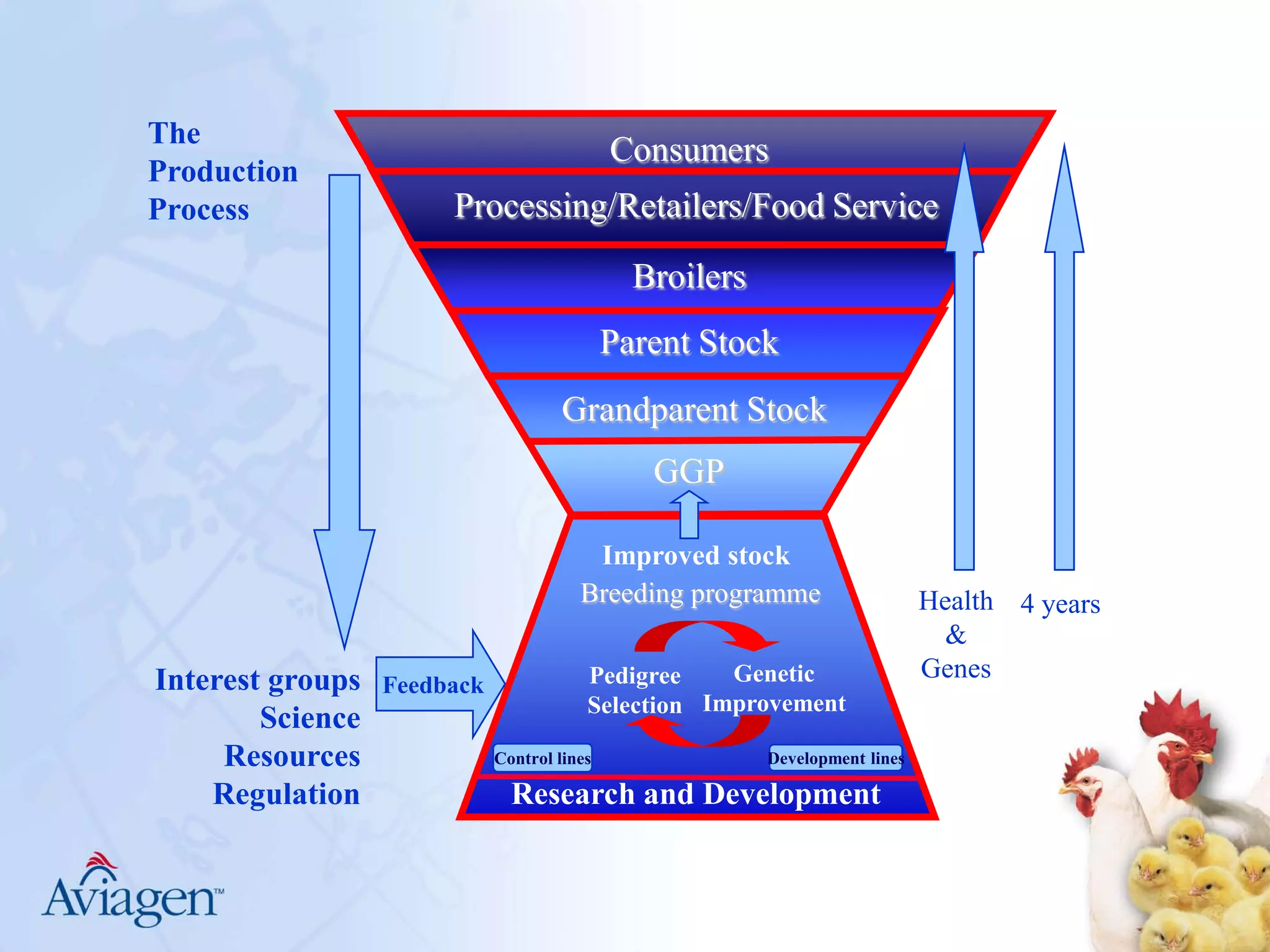Biosecurity - A Foundational Principle To Poultry Primary Breeders | PDF