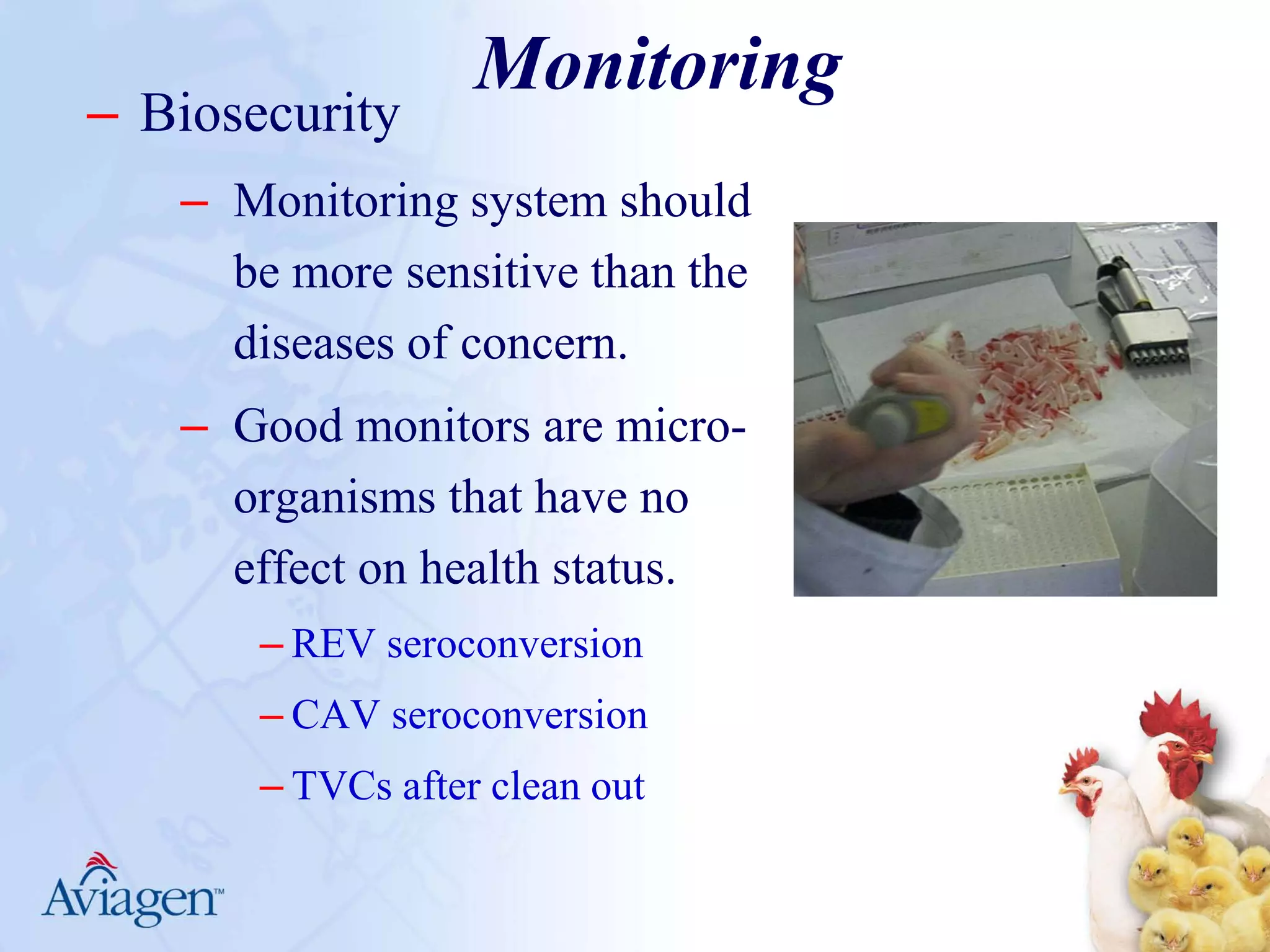 Biosecurity - A Foundational Principle To Poultry Primary Breeders | PDF