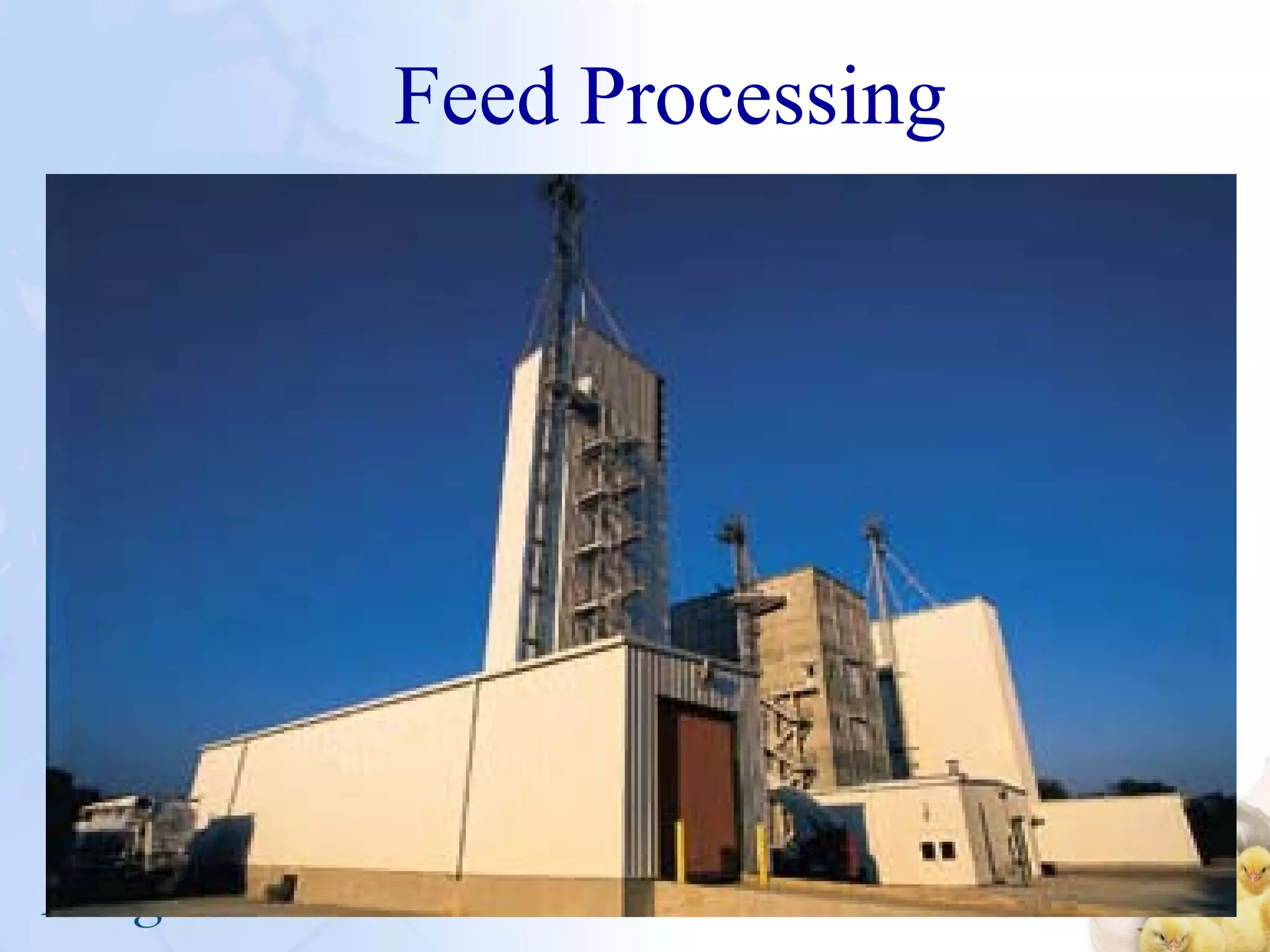 Biosecurity - A Foundational Principle To Poultry Primary Breeders | PDF