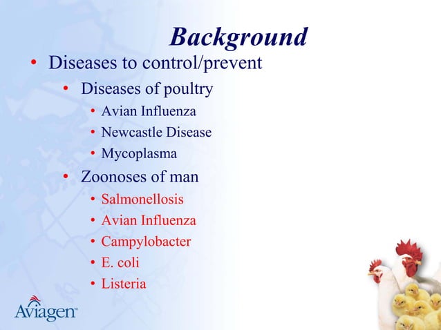 Biosecurity - A Foundational Principle To Poultry Primary Breeders ...