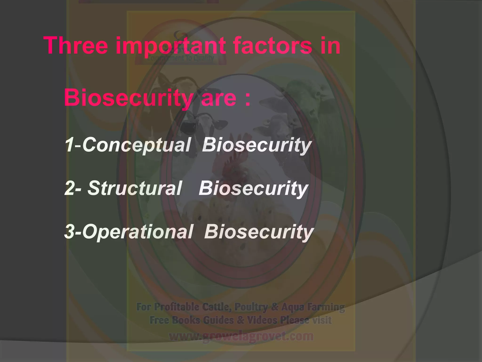 Biosecurity for Successful Poultry | PDF