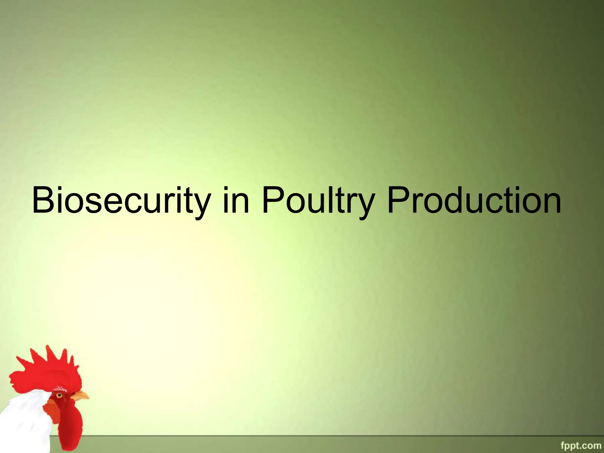 Biosecurity of a poultry farm.pptx
