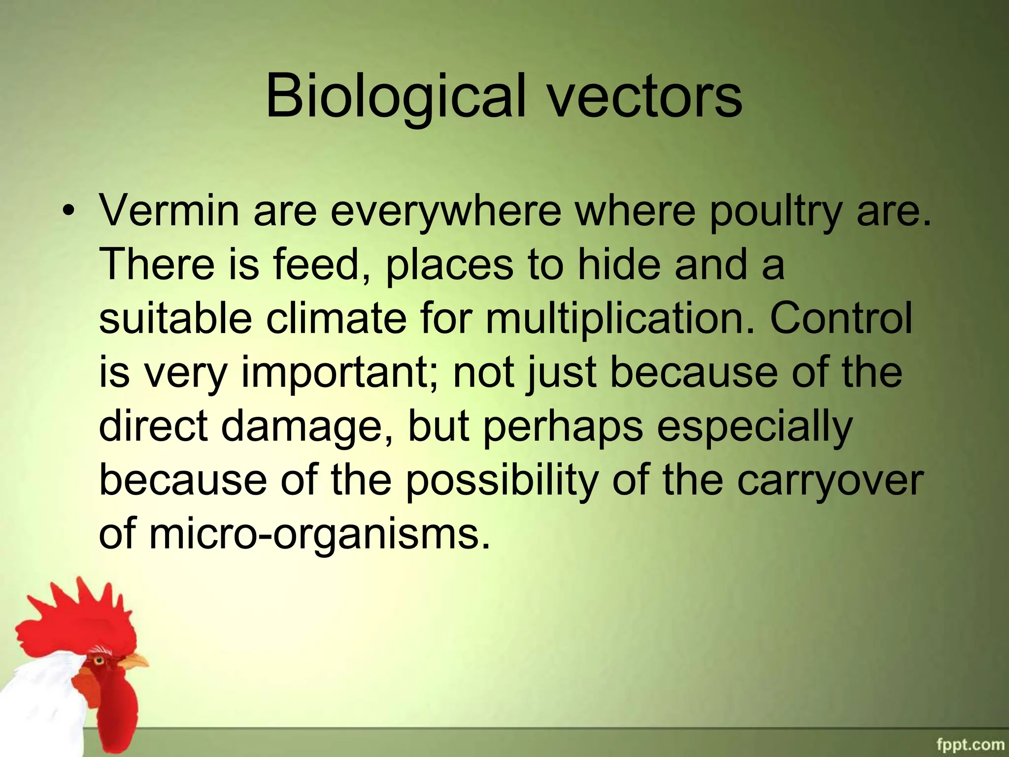 Biosecurity of a poultry farm.pptx