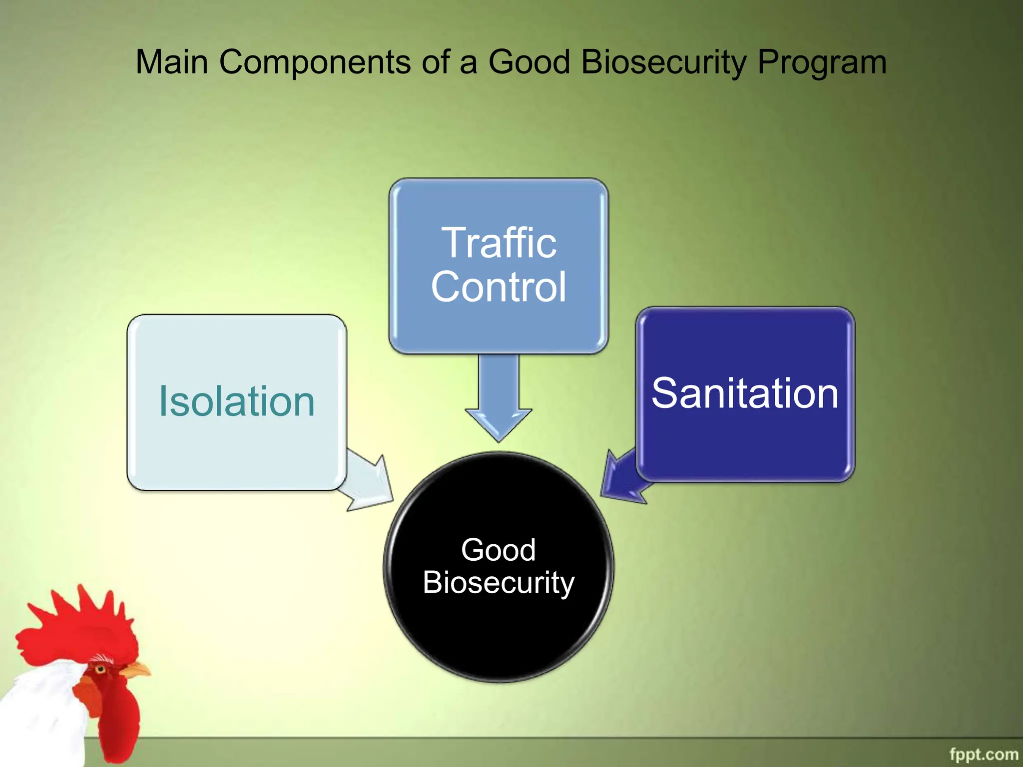 Biosecurity of a poultry farm.pptx