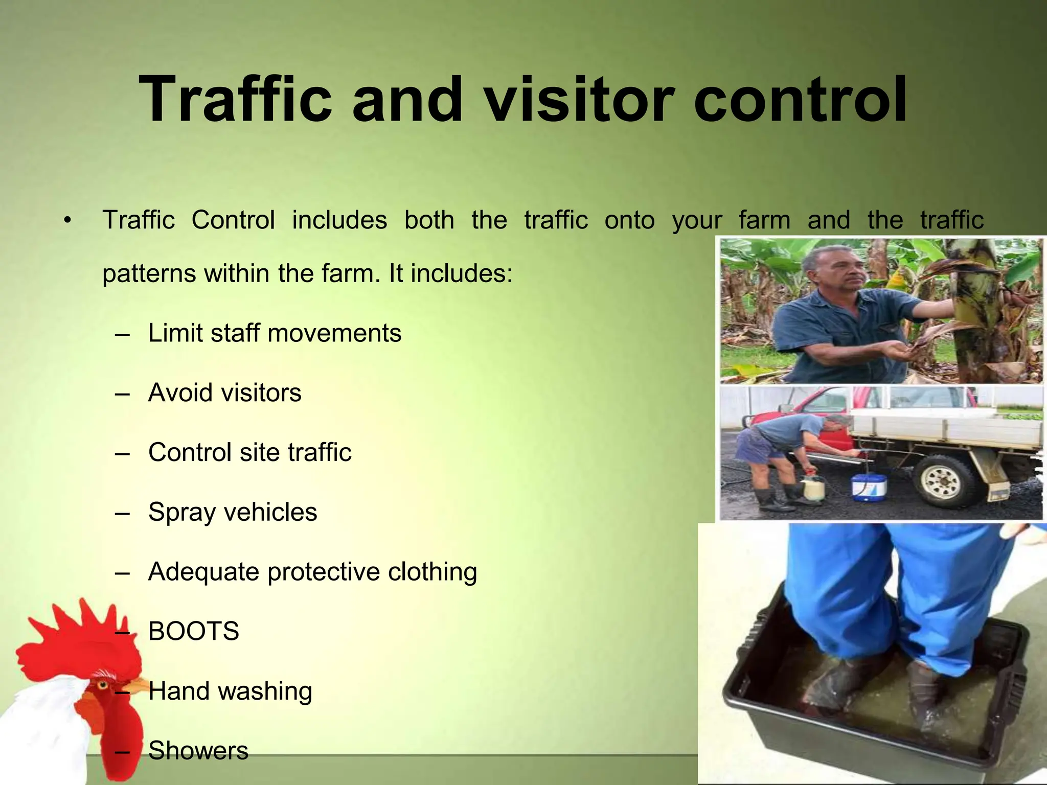 Biosecurity of a poultry farm.pptx