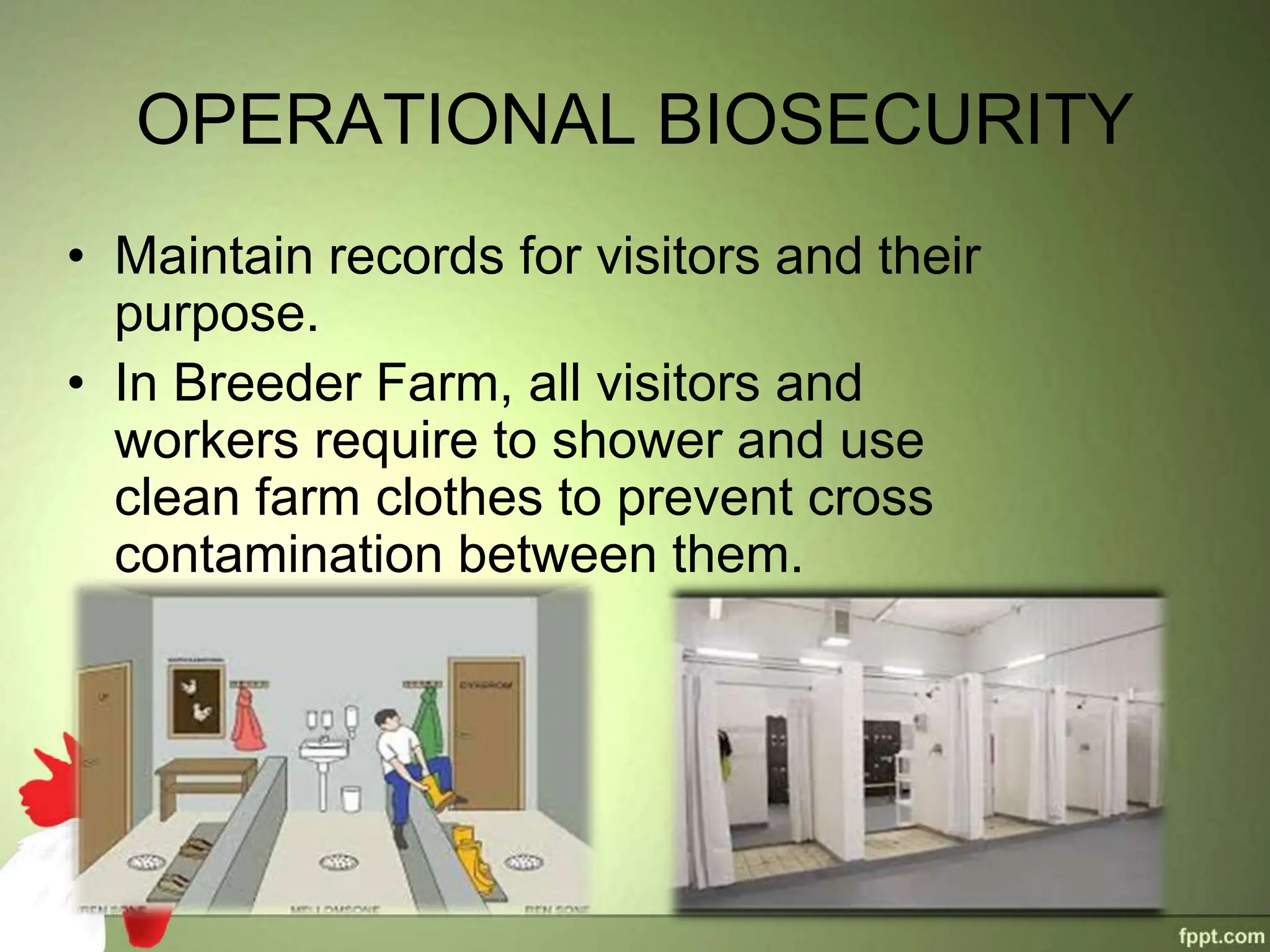 Biosecurity of a poultry farm.pptx