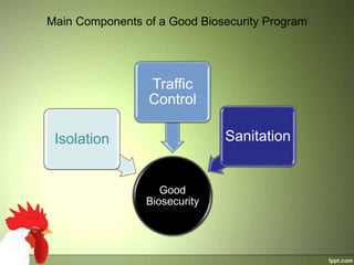Biosecurity of a poultry farm.pptx