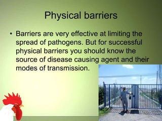 Biosecurity of a poultry farm.pptx