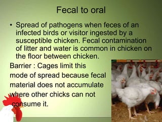 Biosecurity of a poultry farm.pptx