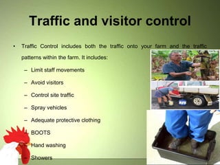 Biosecurity of a poultry farm.pptx