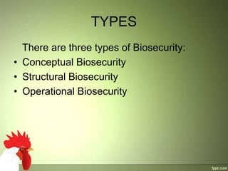 Biosecurity of a poultry farm.pptx