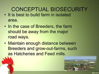 Biosecurity of a poultry farm.pptx