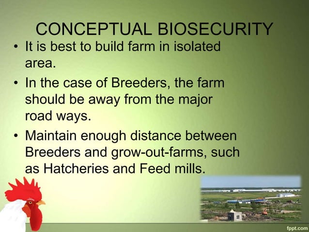 Biosecurity of a poultry farm.pptx