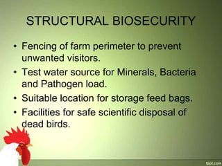 Biosecurity of a poultry farm.pptx