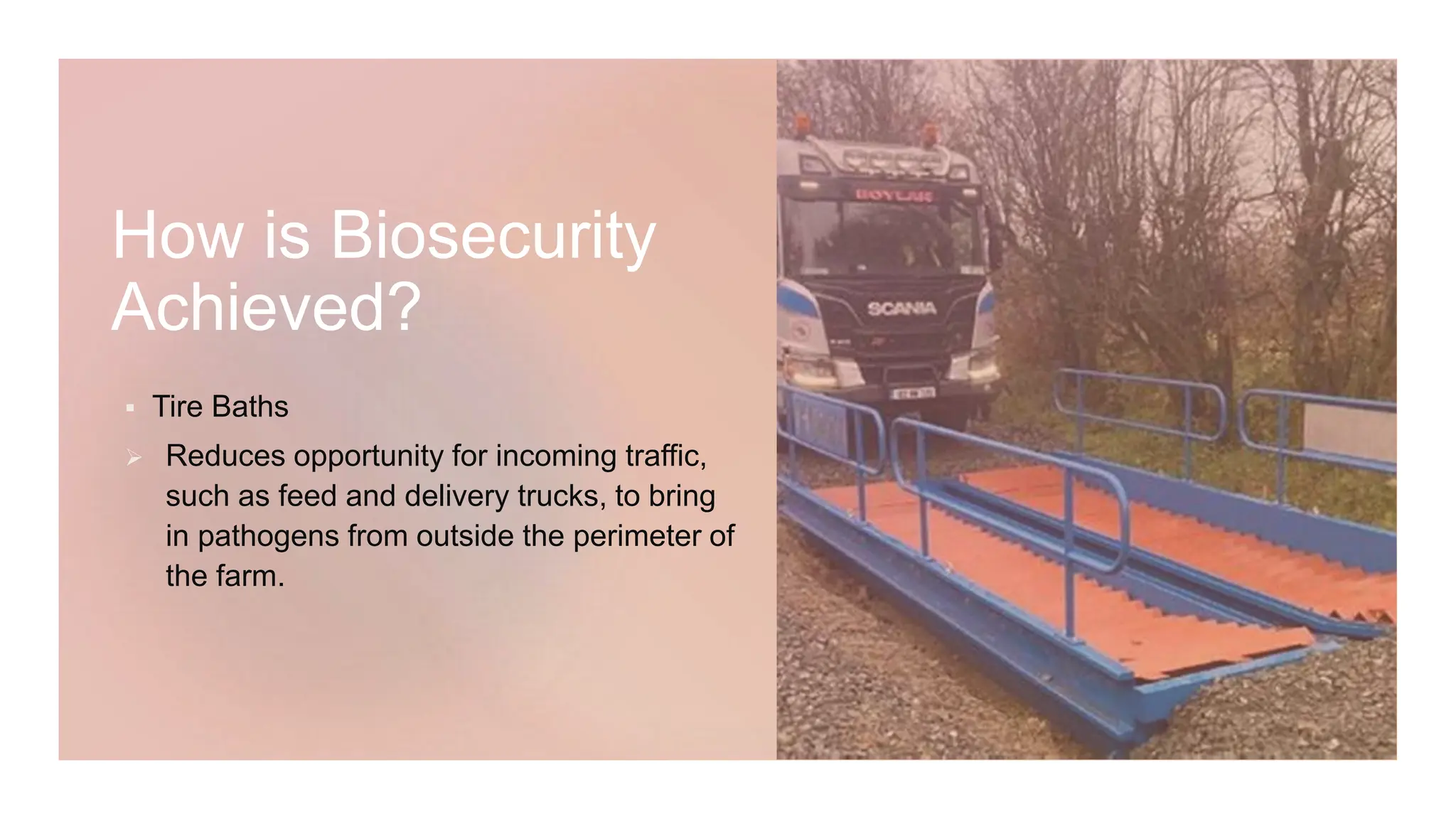 Biosecurity Measure for Poultry farm PPT | PPTX