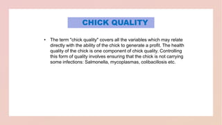 Biosecurity Measure for Poultry farm PPT | PPTX