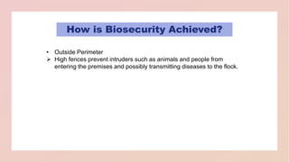 Biosecurity Measure for Poultry farm PPT | PPTX