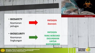 Sistem Biosecurity dan Biosafety Peternakan | PDF