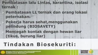 Sistem Biosecurity dan Biosafety Peternakan | PDF