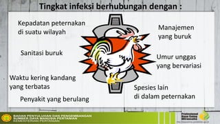 Sistem Biosecurity dan Biosafety Peternakan | PDF