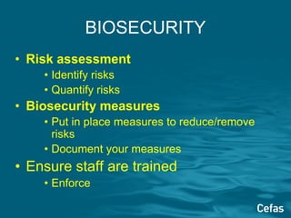 Biosecurity For Tilpia Industry | PDF