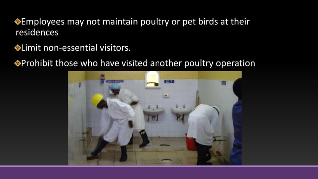 Biosecurity in hatchery | PPTX | Agriculture | Industries