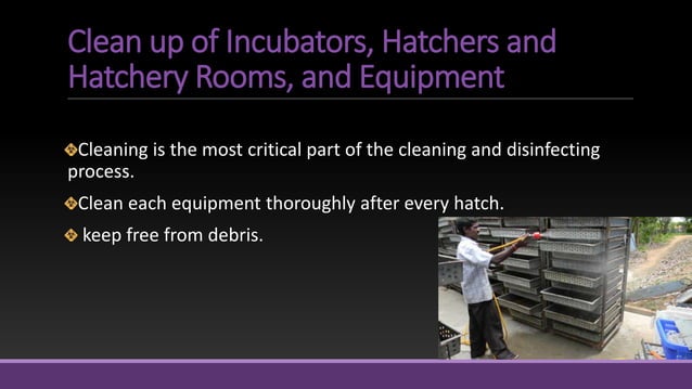 Biosecurity in hatchery | PPTX | Agriculture | Industries